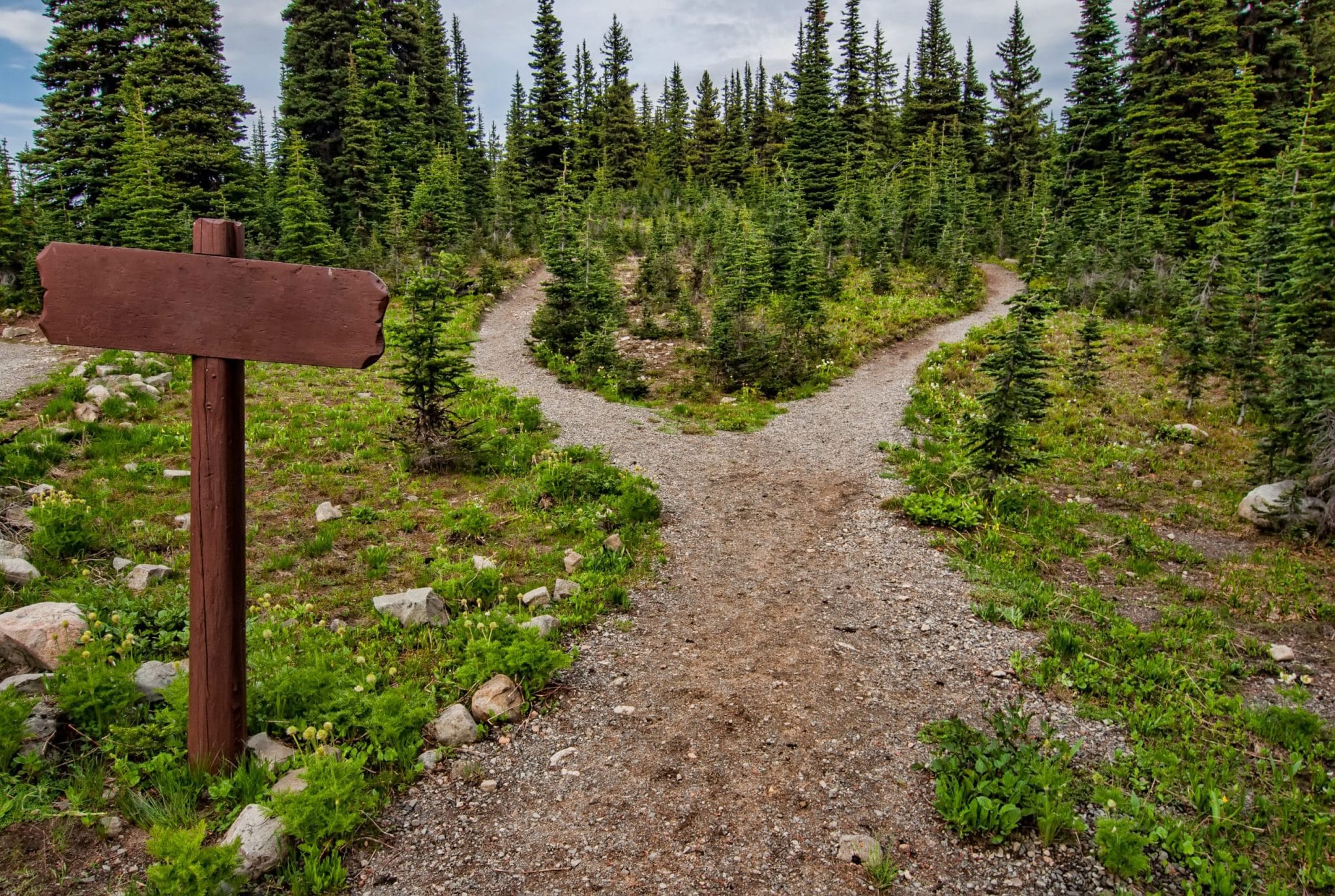 Finding Clarity At Crossroads In Life With Positive Thoughts